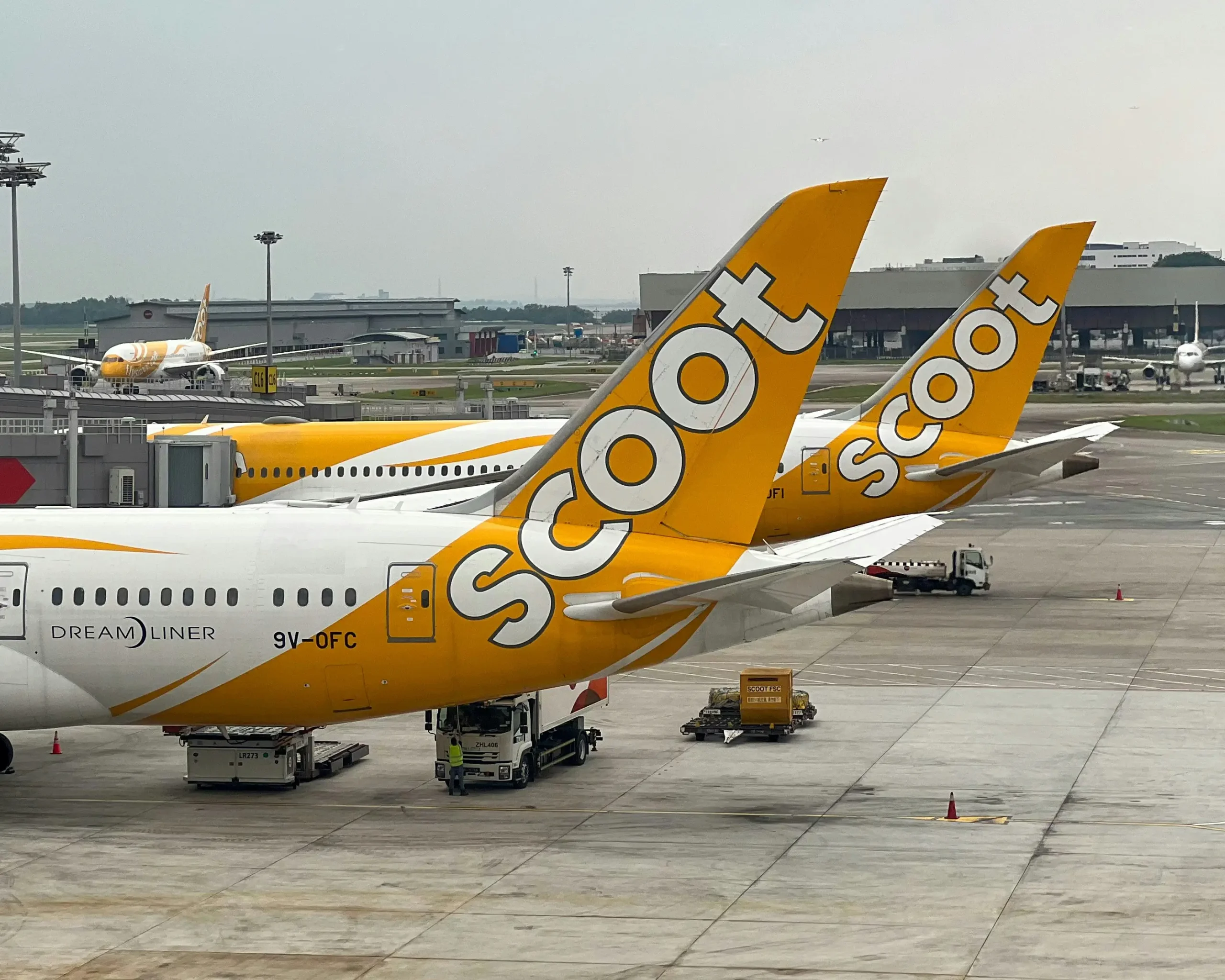 Scoot Airlines Review: Our Honest Experience [11 hour flight]